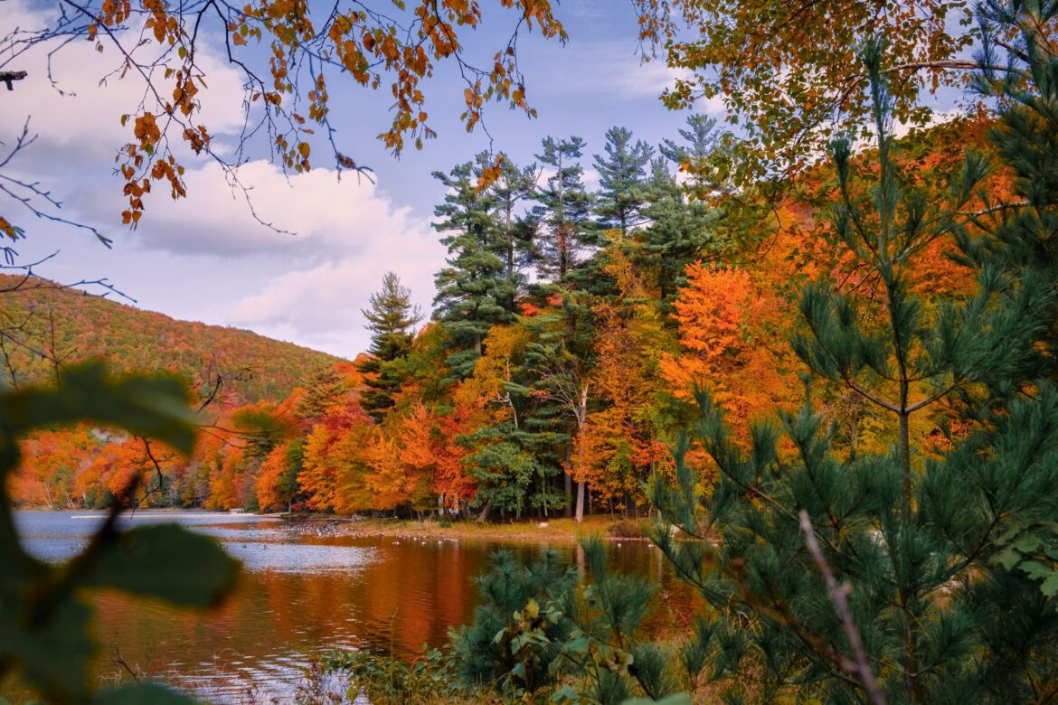 11 spectacular hikes to do in Quebec this fall | The Storytellers MTL